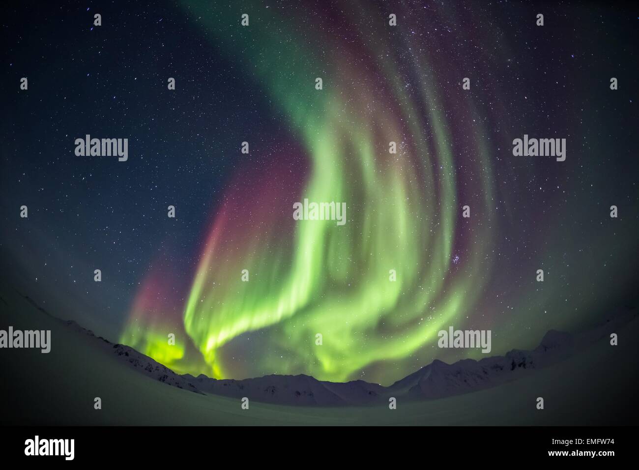 Northern Lights on the Arctic sky - polar night Stock Photo - Alamy