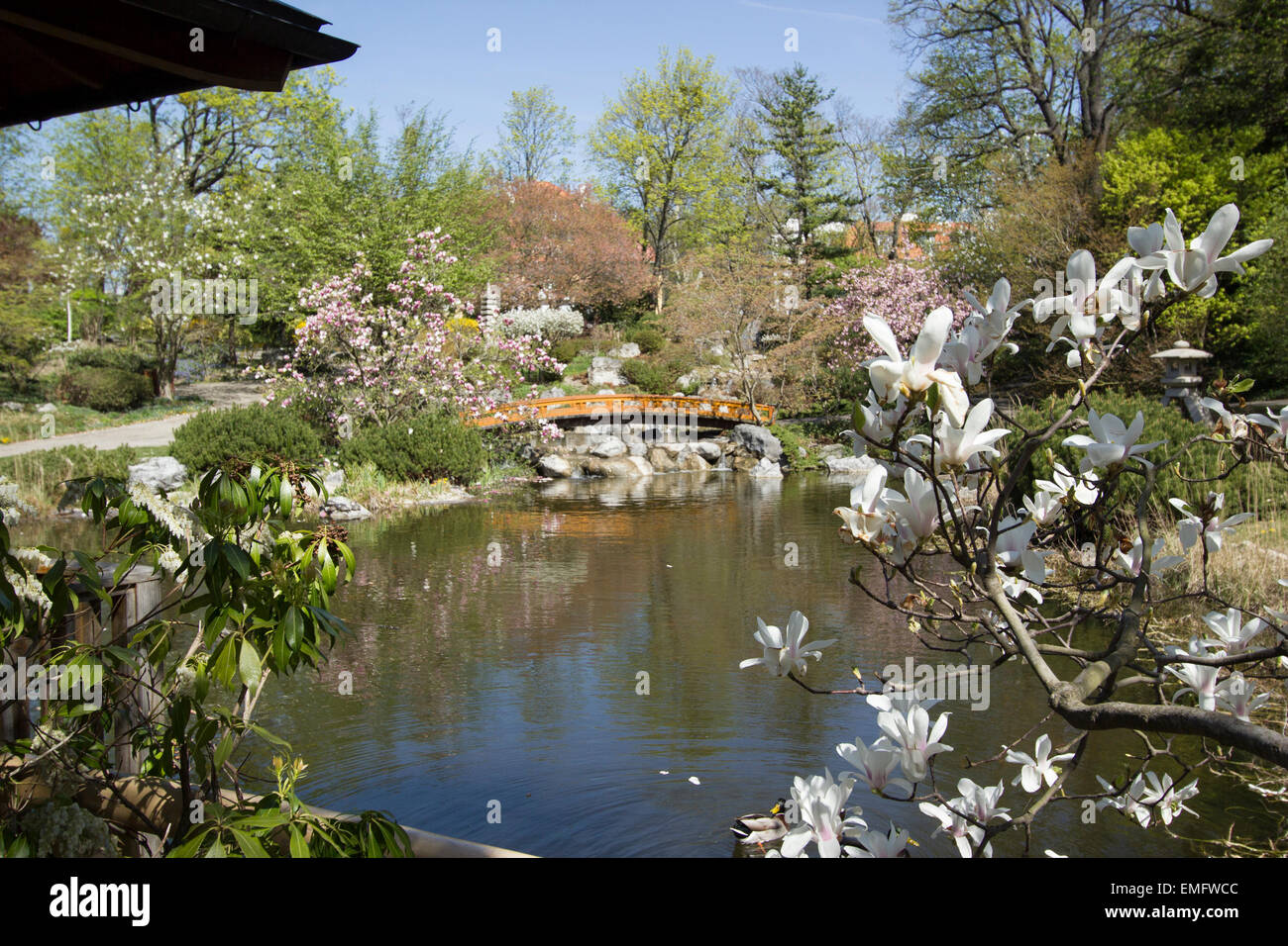 Japanese stone bridge spring season hi-res stock photography and images ...
