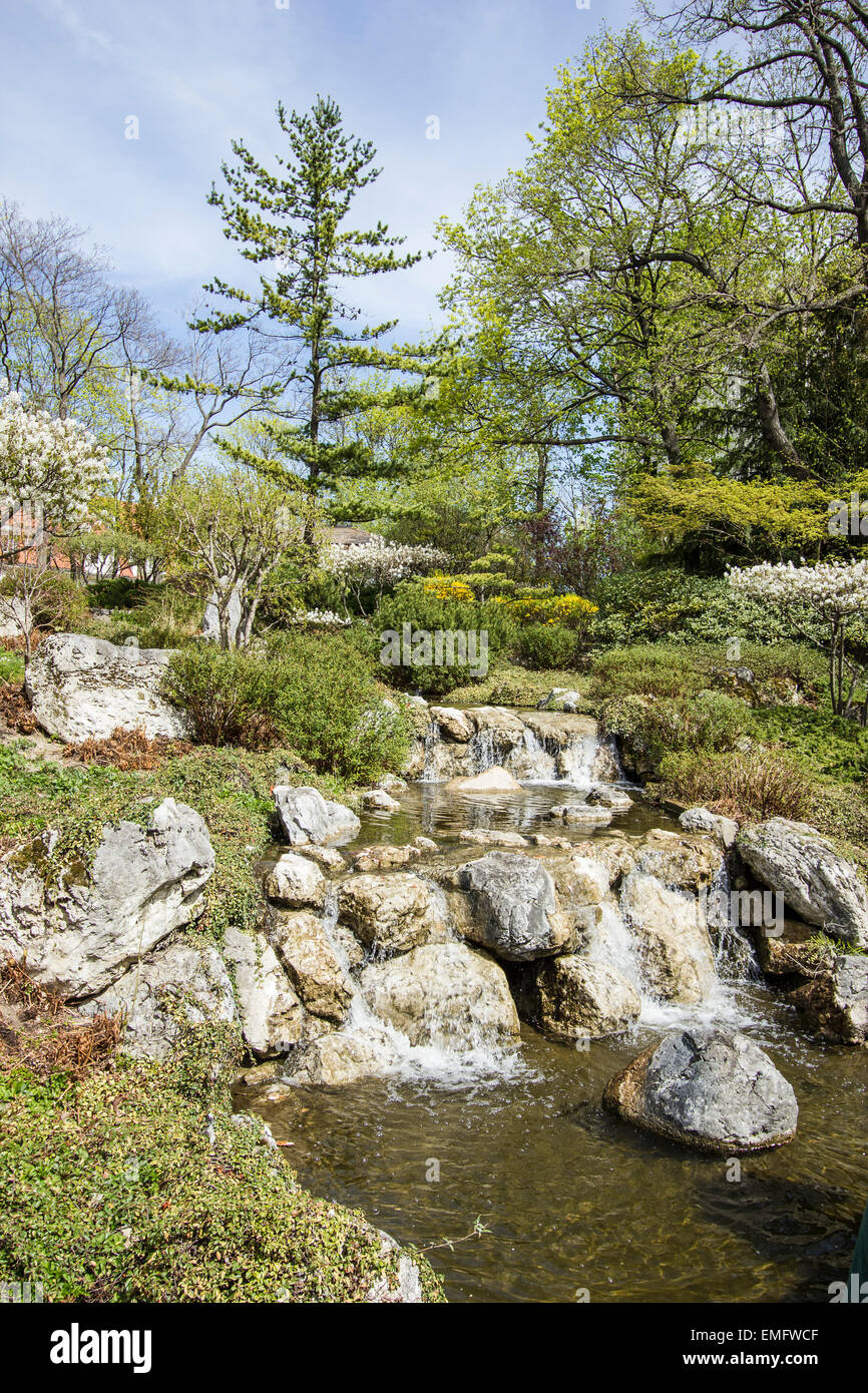 Japanese in vienna austria hi-res stock photography and images - Alamy