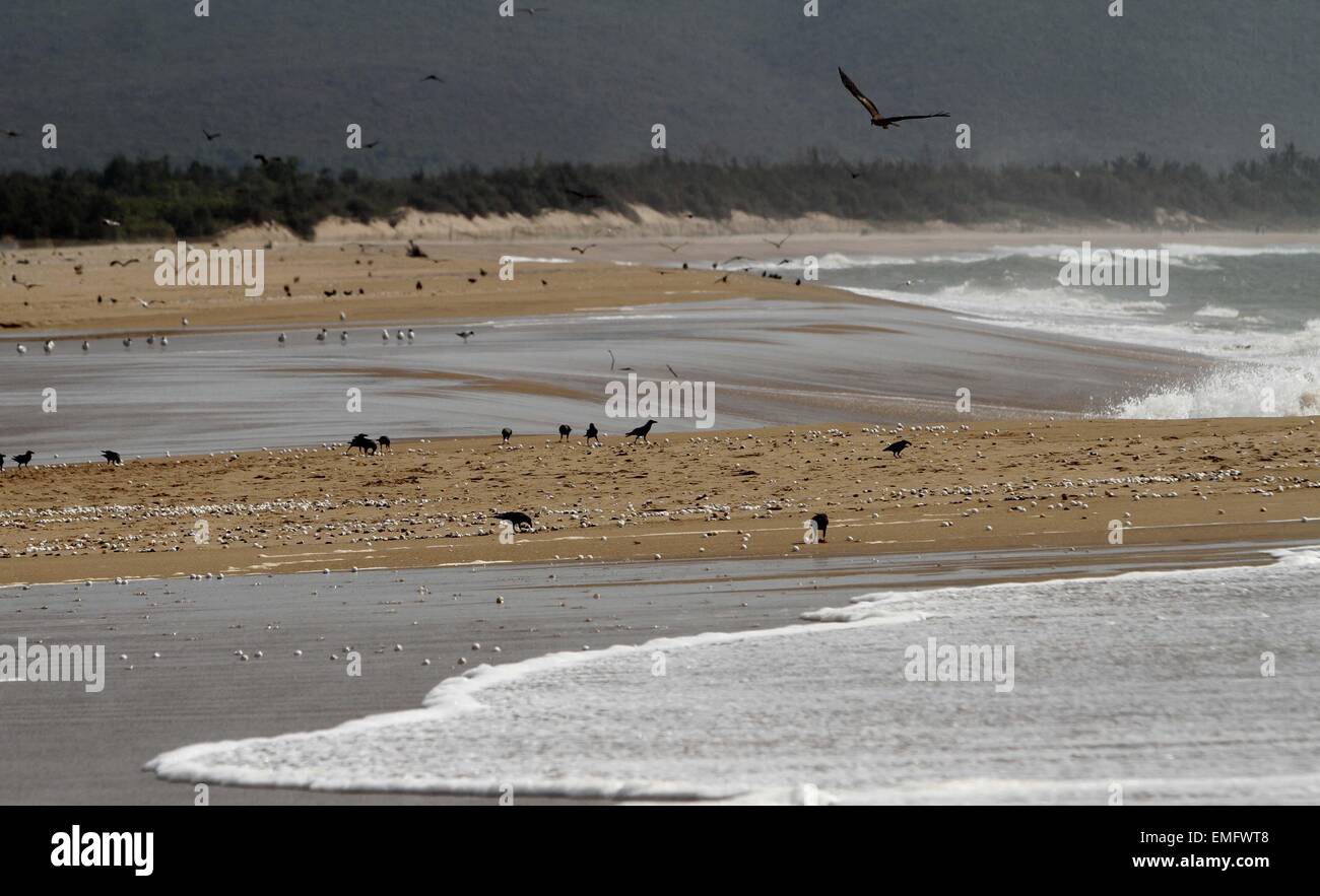 Rushikulya river mouth beach hi-res stock photography and images - Alamy