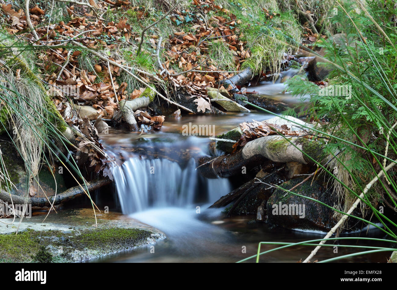Pebbles in stream hi-res stock photography and images - Alamy