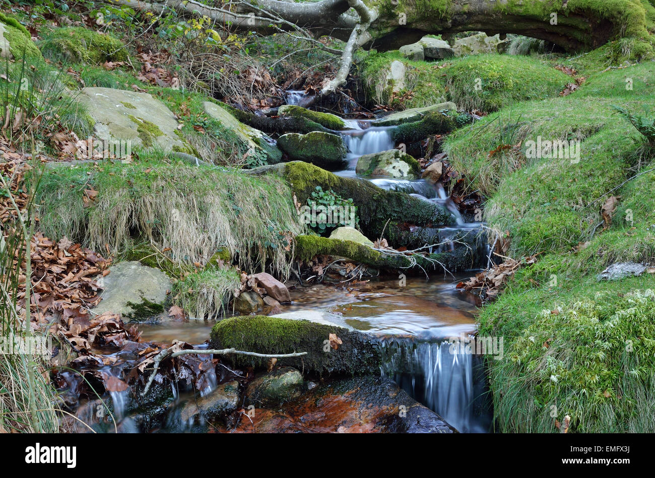 Close-up of a stream in the mountain slope Stock Photo - Alamy