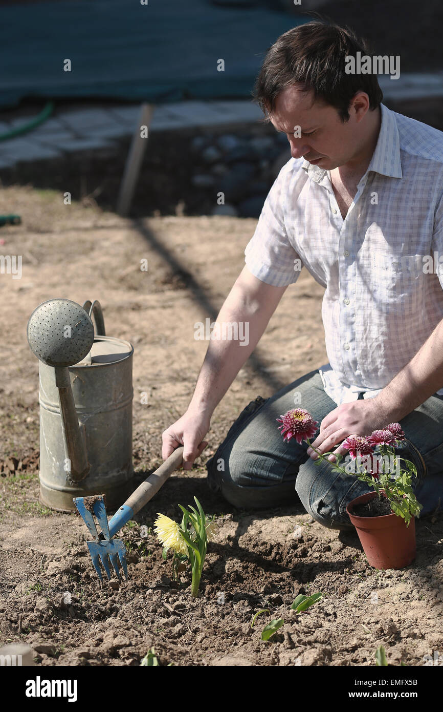 man planting spring flower in a flower bed Stock Photo - Alamy
