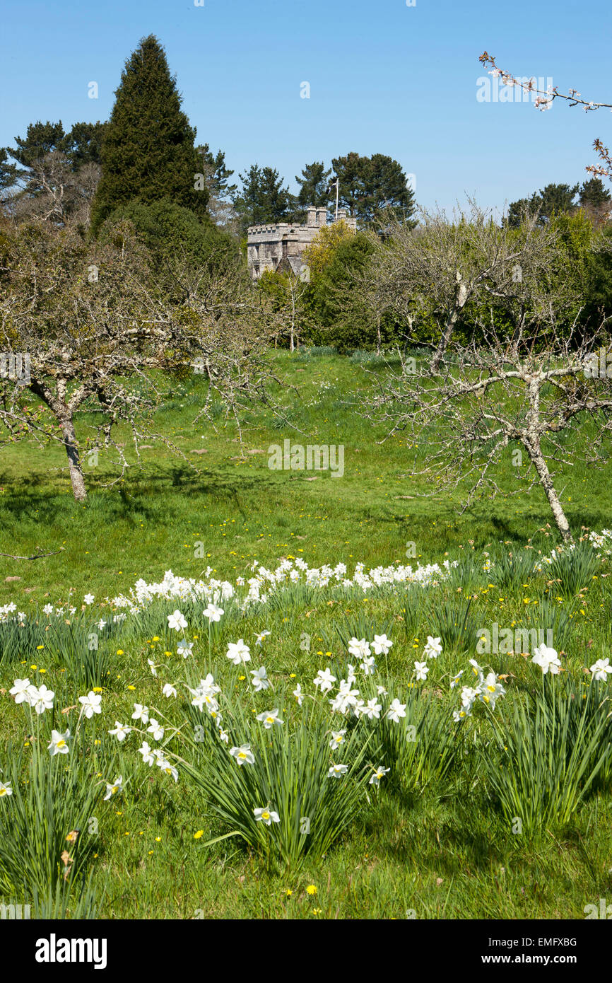 Cotehele nt hi-res stock photography and images - Alamy