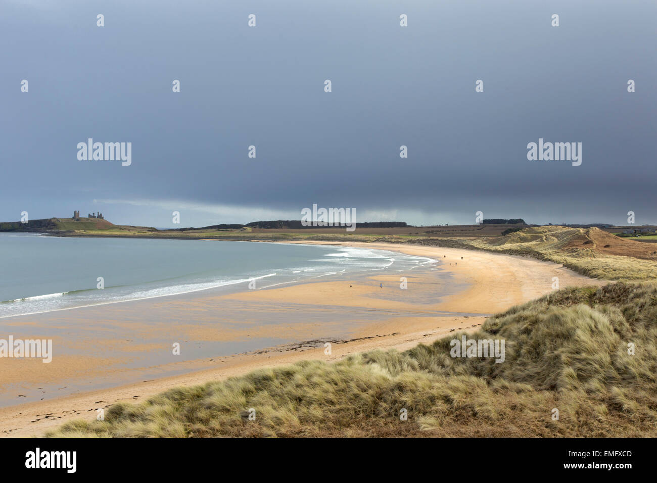 Dunstanburgh Castle across Embleton Bay on the north east coast of ...