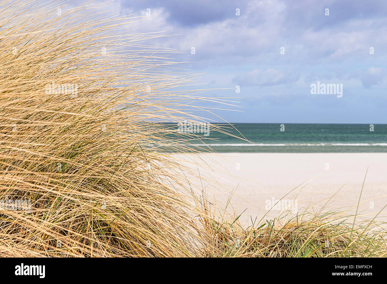 Strand gras hi-res stock photography and images - Alamy