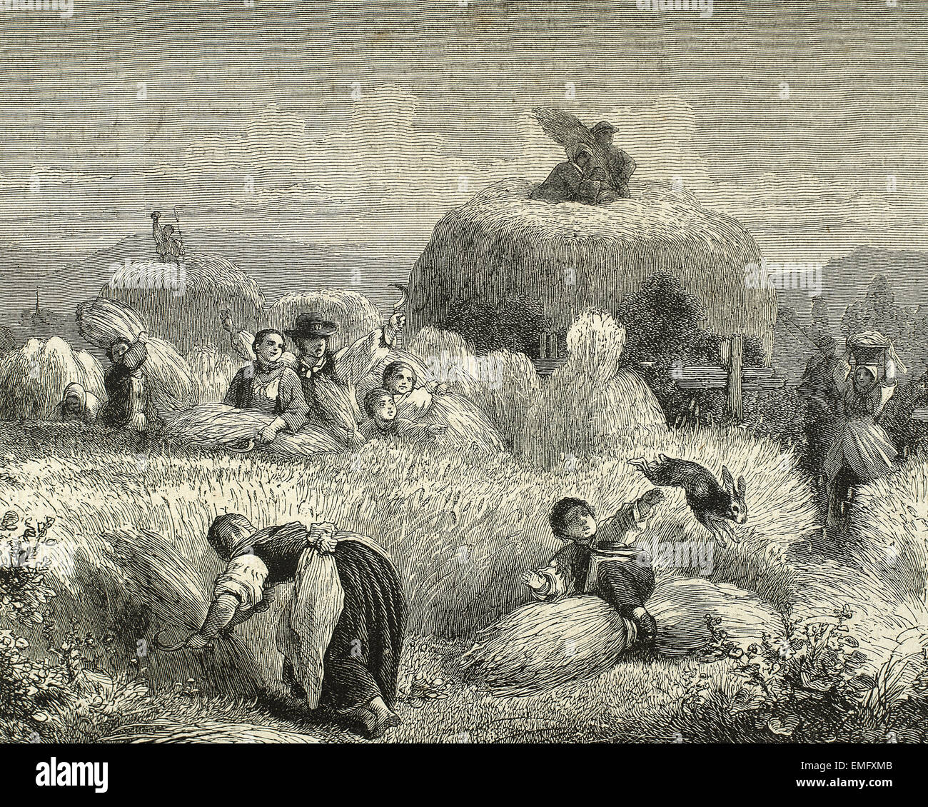 Agriculture. Mowing. Engraving, 19th century Stock Photo - Alamy