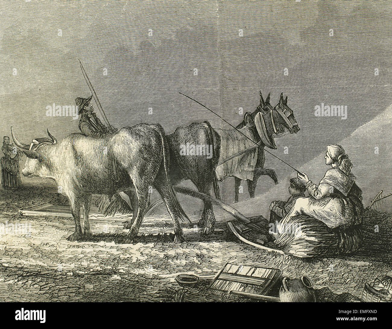 Agriculture. Threshing with threshing board. Engraving by R. Milliet ...