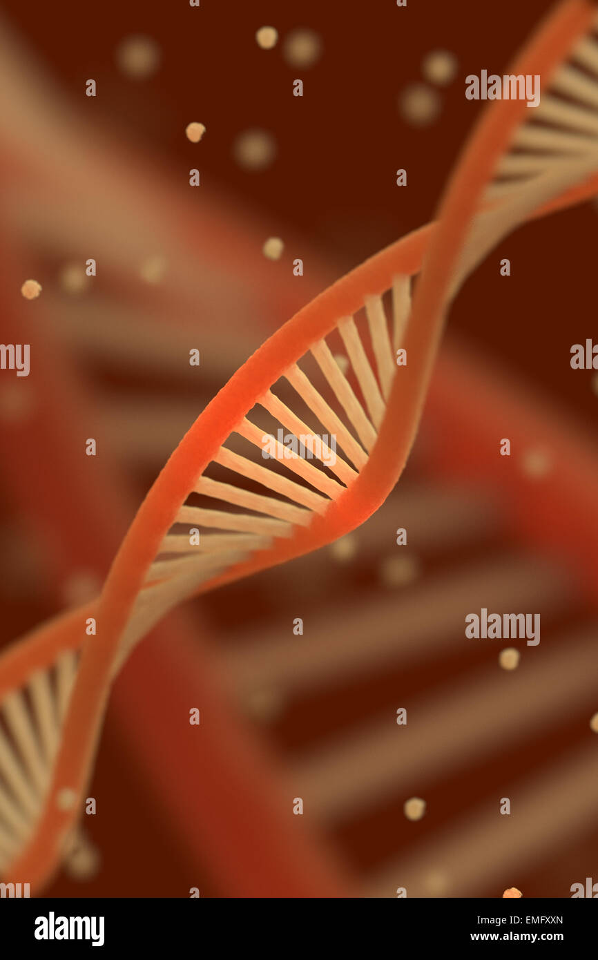 DNA chain macroshot Stock Photo - Alamy