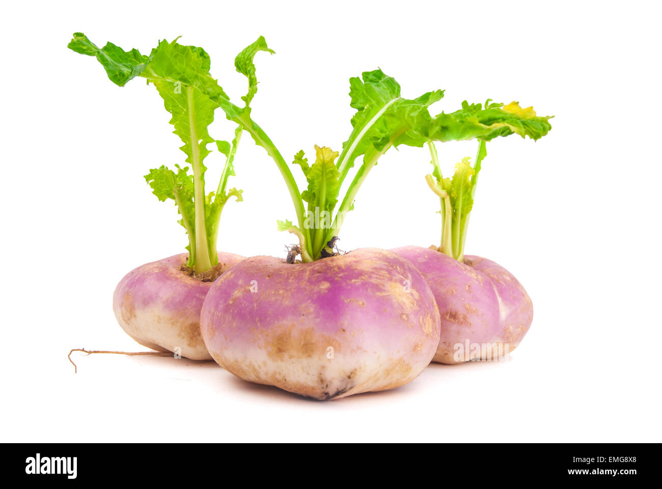 Three ripe turnips isolated on white Stock Photo - Alamy