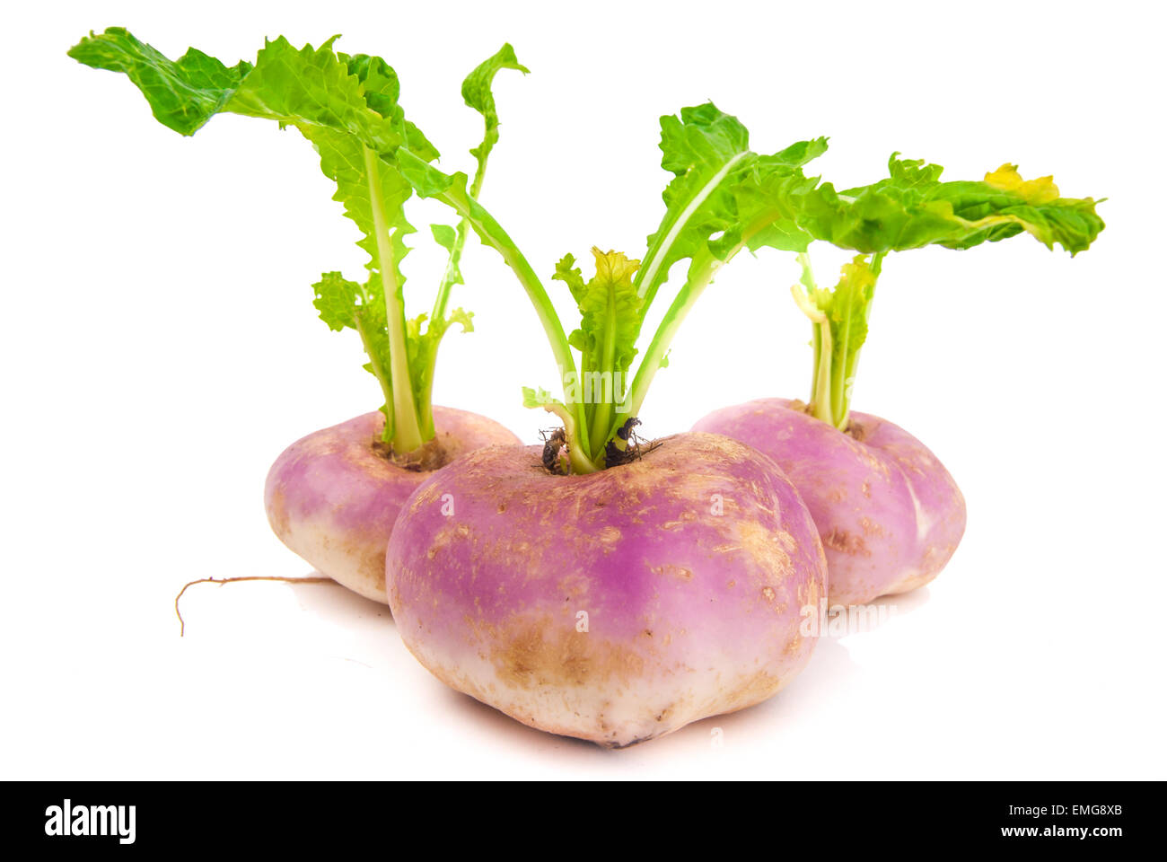 Three ripe turnips isolated on white Stock Photo - Alamy