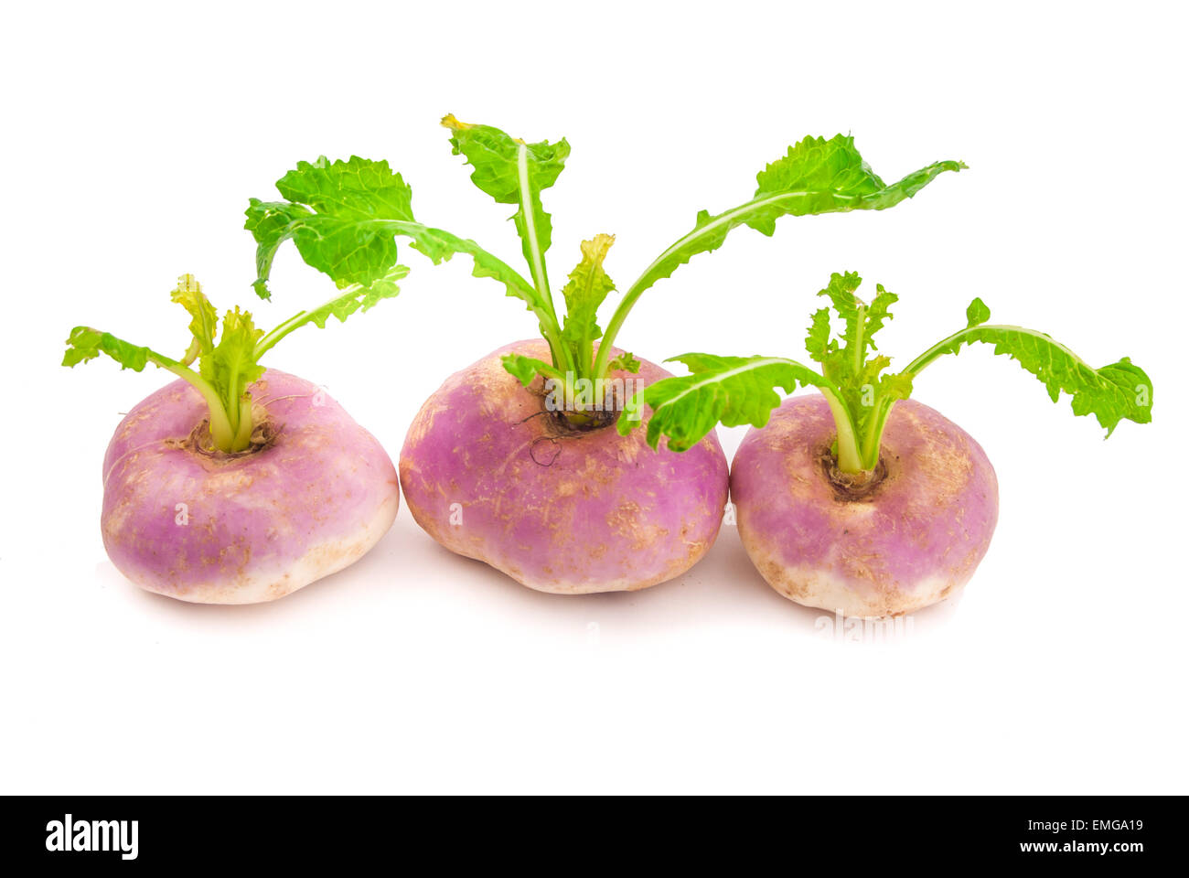 Baby Turnips Stock Photos & Baby Turnips Stock Images - Alamy