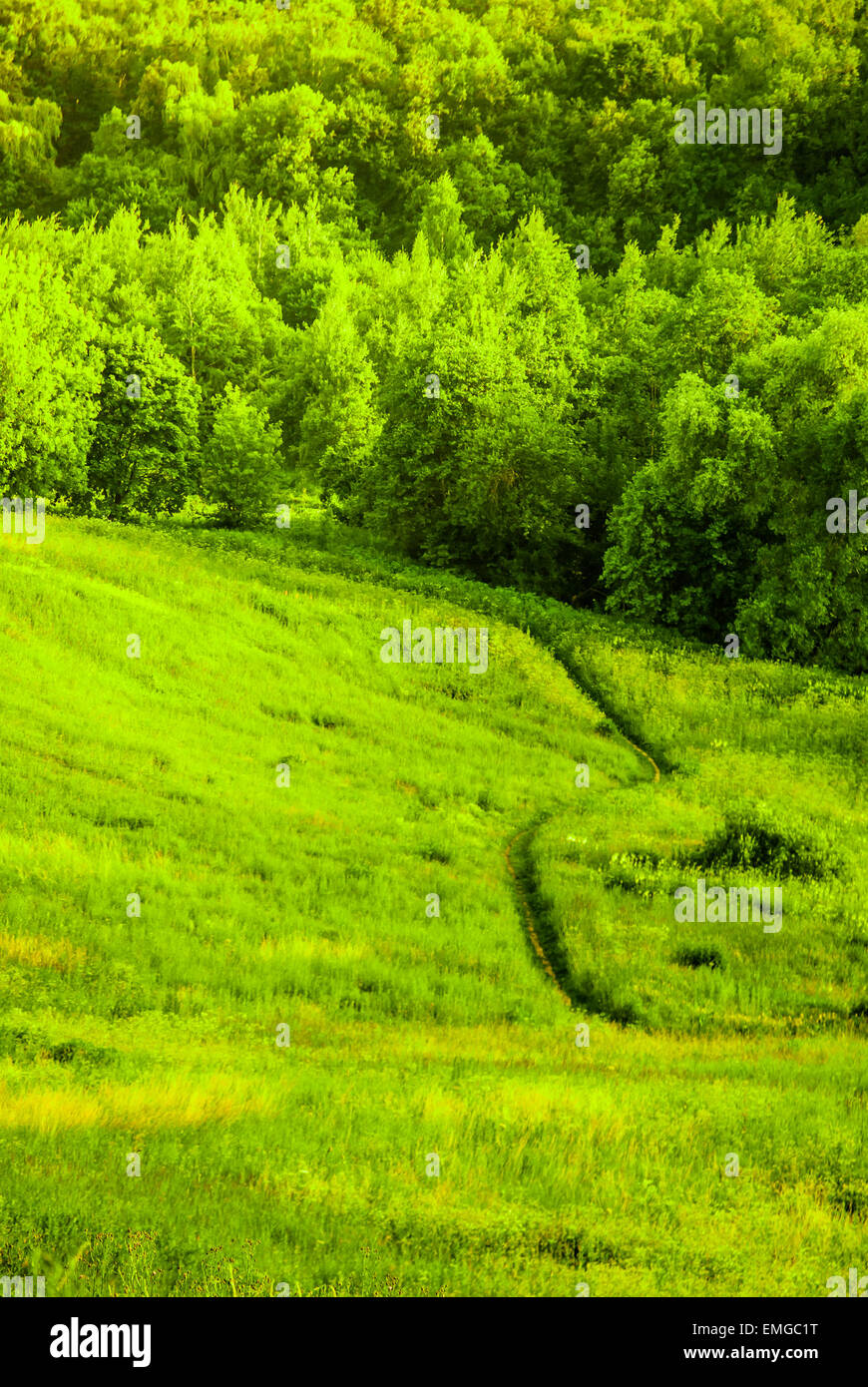 Lane on the hill, green trees and grass in the field Stock Photo - Alamy