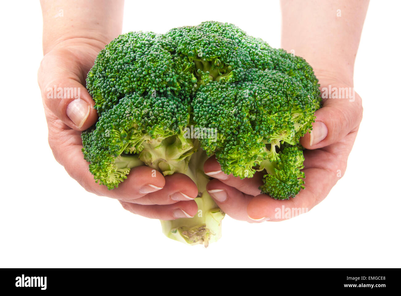 Green fresh broccoli in hands on white background Stock Photo - Alamy