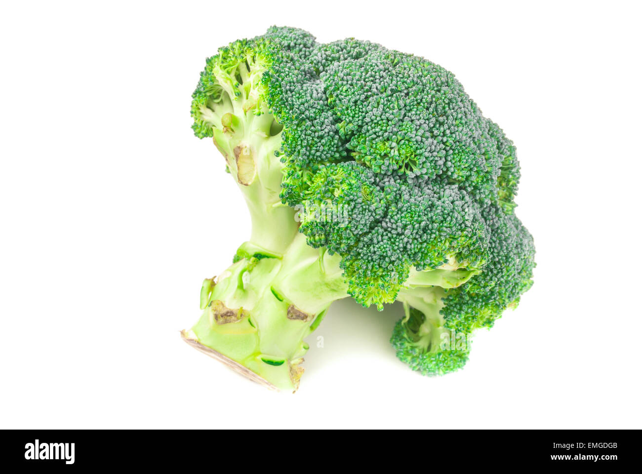 Broccoli isolated on white background Stock Photo - Alamy