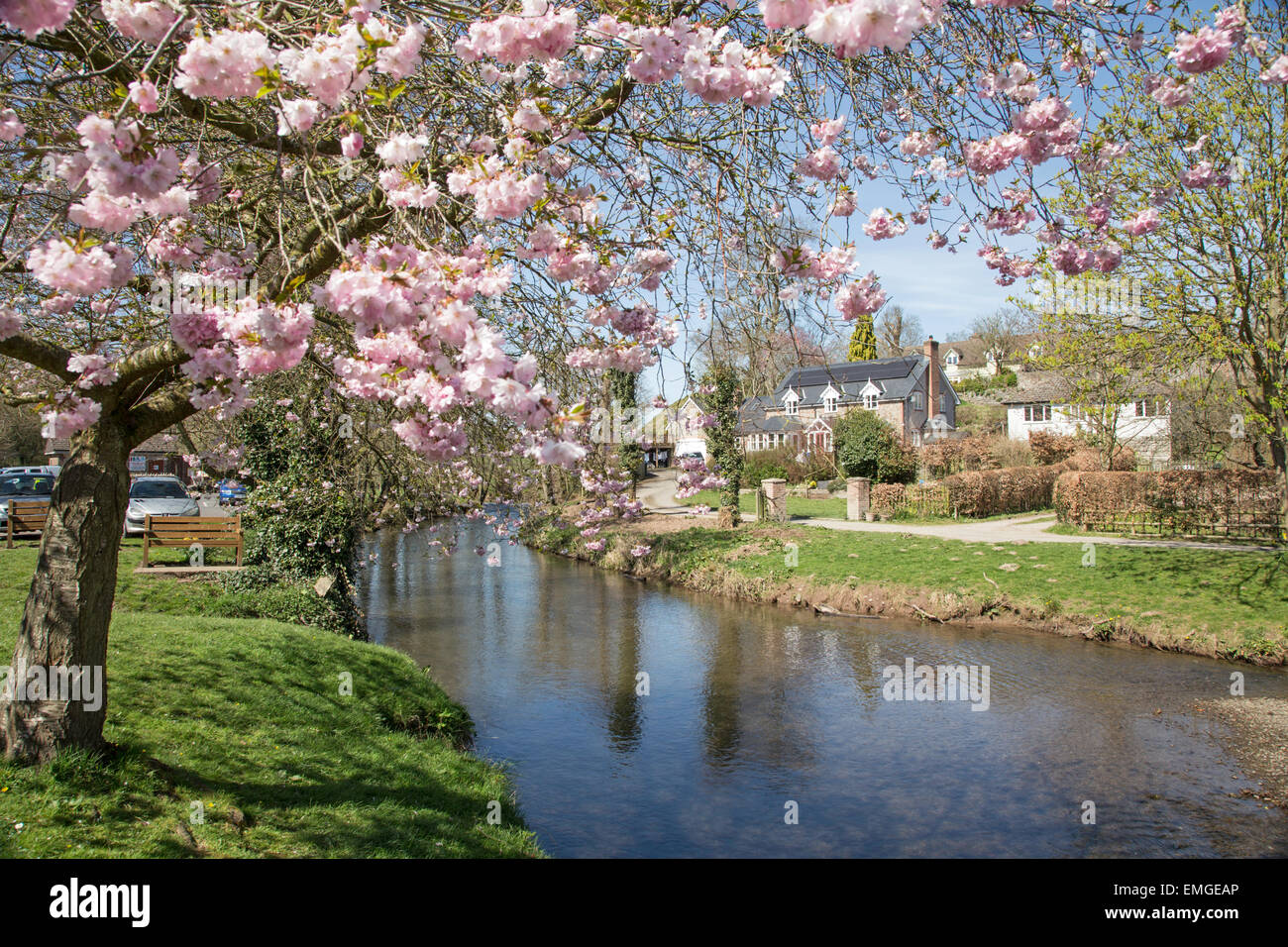 English blossom tree village hi-res stock photography and images - Alamy