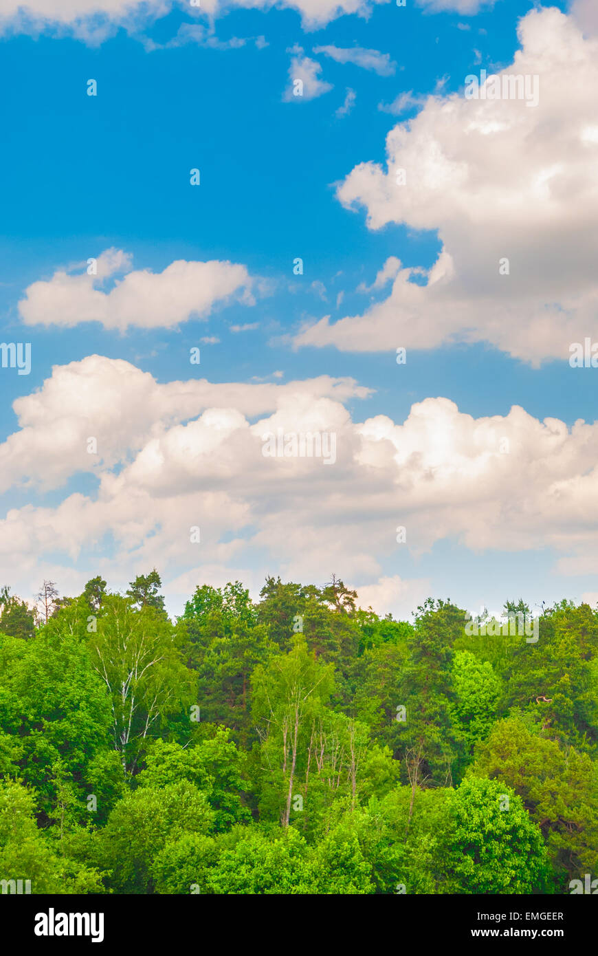 Spring landscape. Green trees and sunny sky with clouds Stock Photo - Alamy
