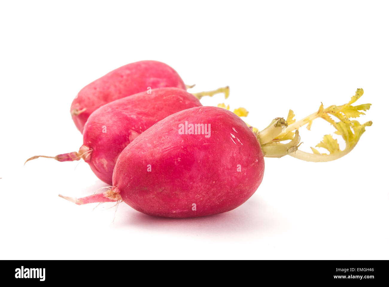 fresh radish isolated on white Stock Photo - Alamy