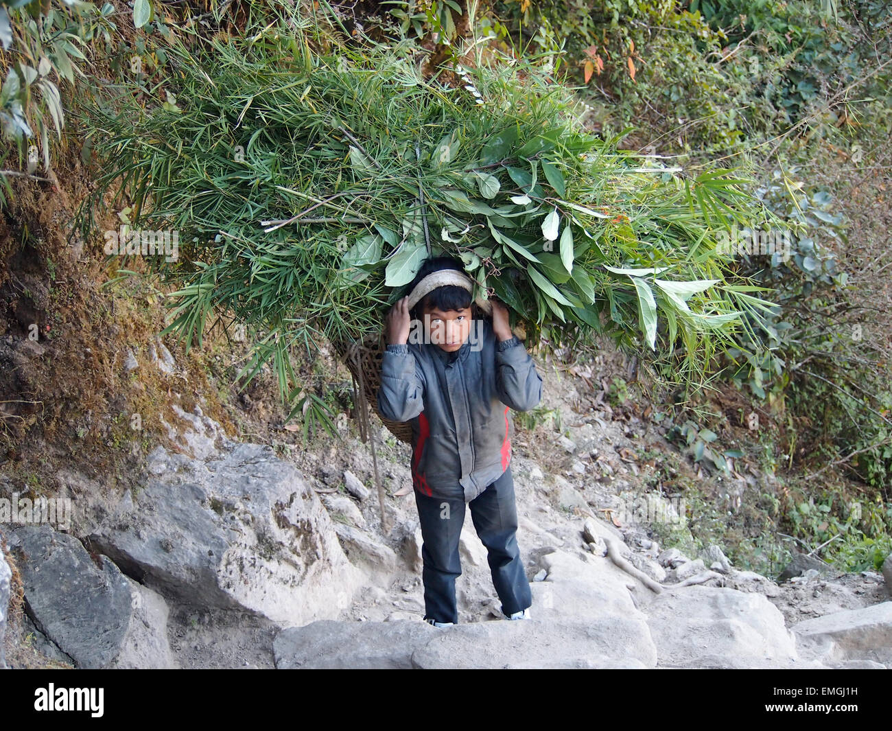 Carrying heavy load hi-res stock photography and images - Alamy