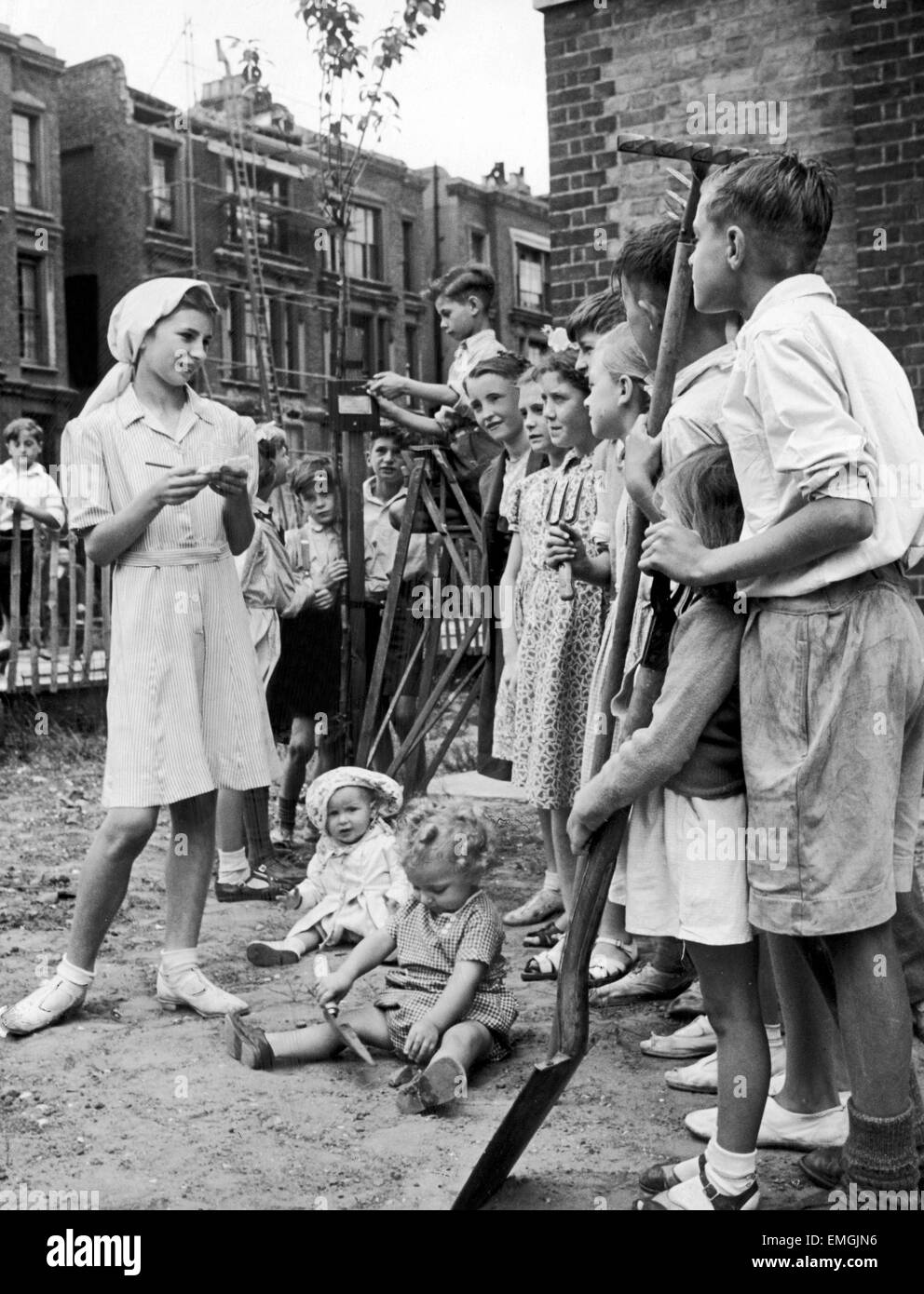 One old tree on Black and White Stock Photos & Images - Alamy