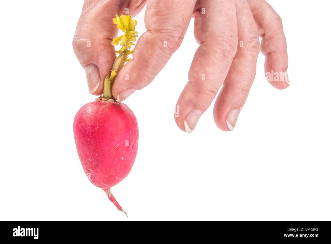 fresh radish in hands isolated on white Stock Photo - Alamy