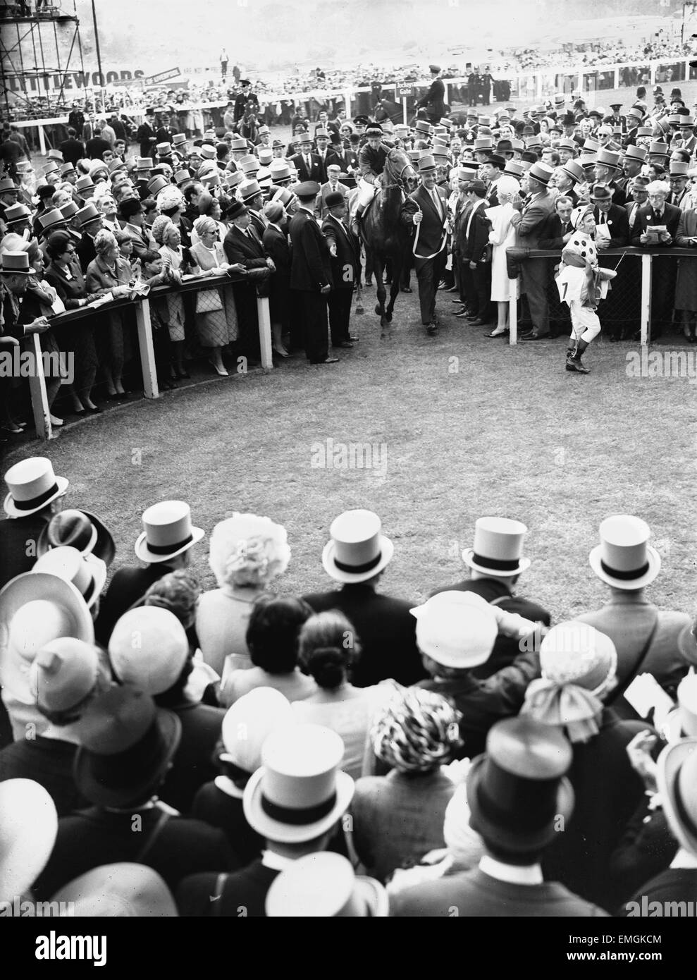 Sea bird 1965 epsom derby hi-res stock photography and images - Alamy