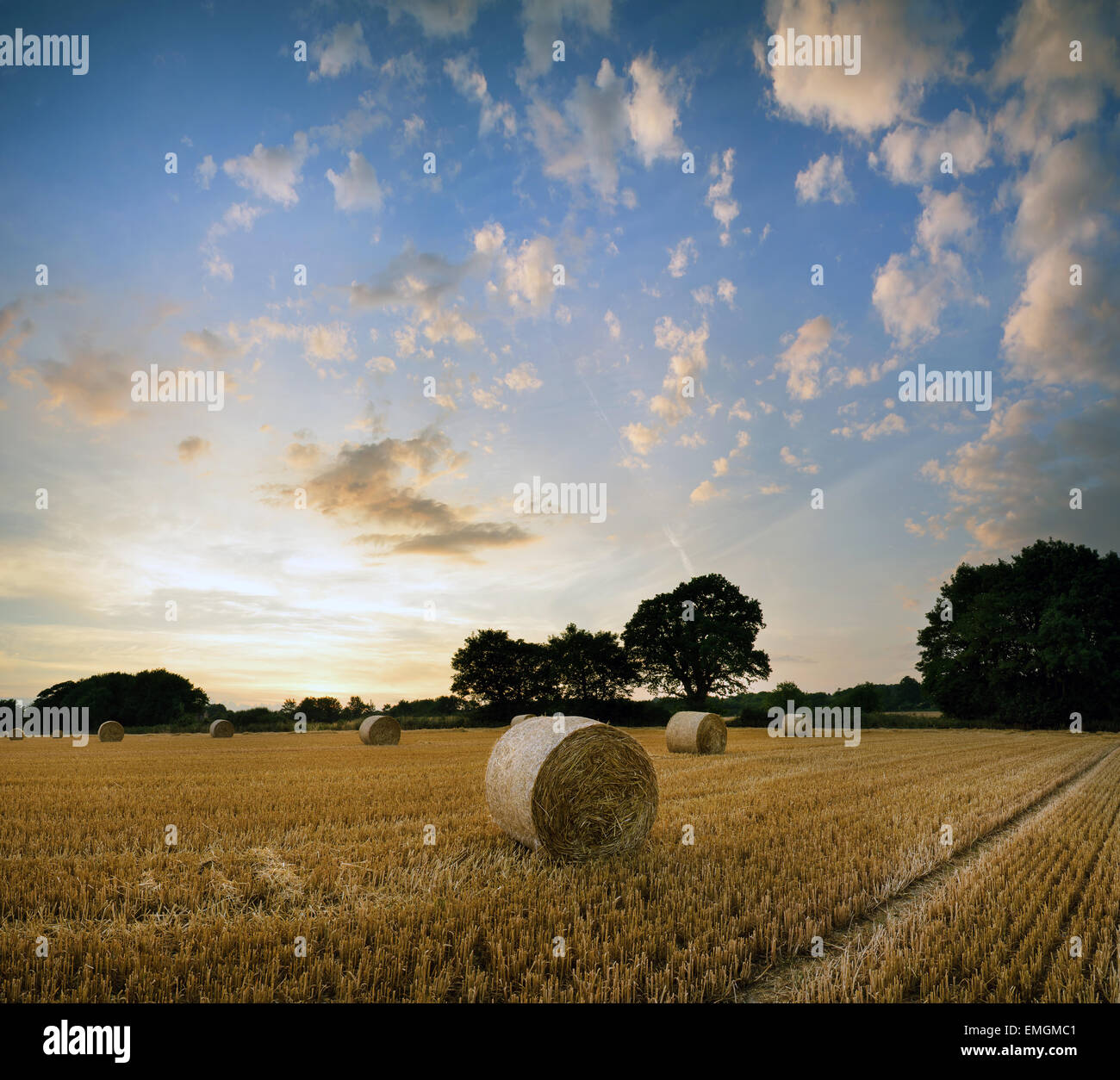 Beautiful sunset over field hay hi-res stock photography and images - Alamy