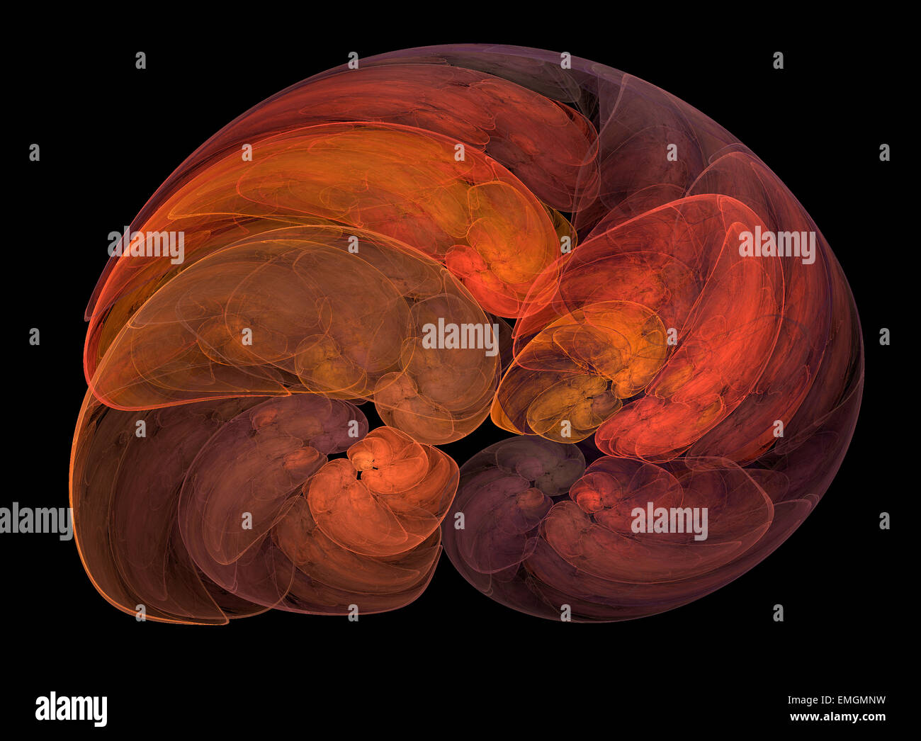 Brain variations hi-res stock photography and images - Alamy