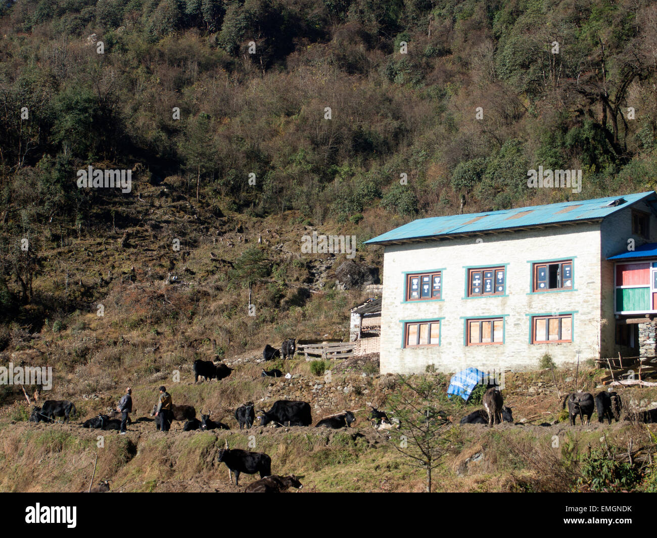 Nepal village house hi-res stock photography and images - Alamy