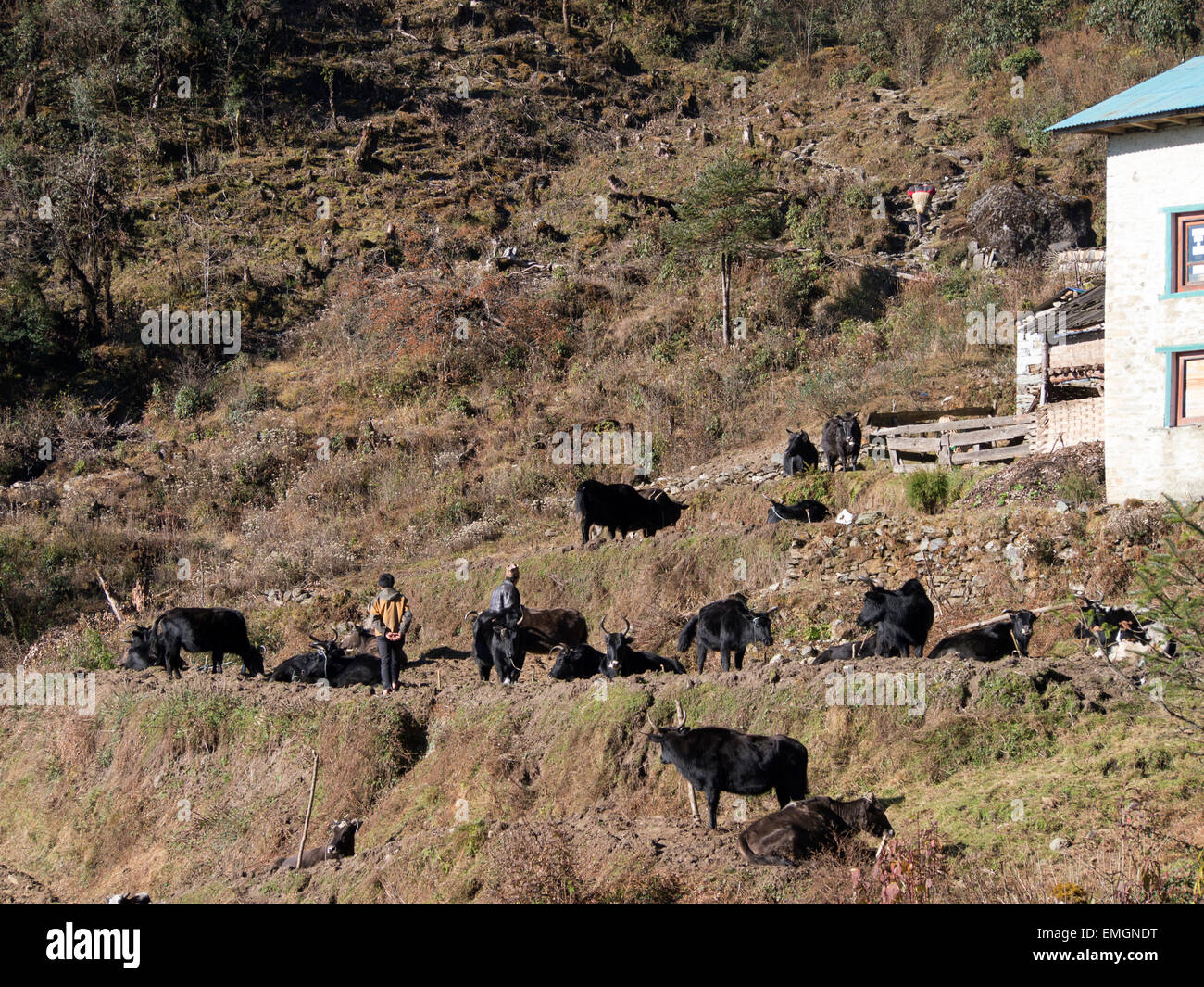 Nepal village house hi-res stock photography and images - Alamy