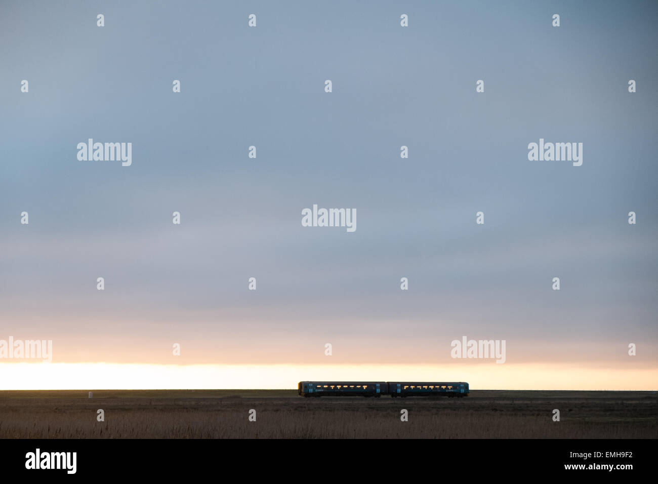 Bog train hi-res stock photography and images - Alamy