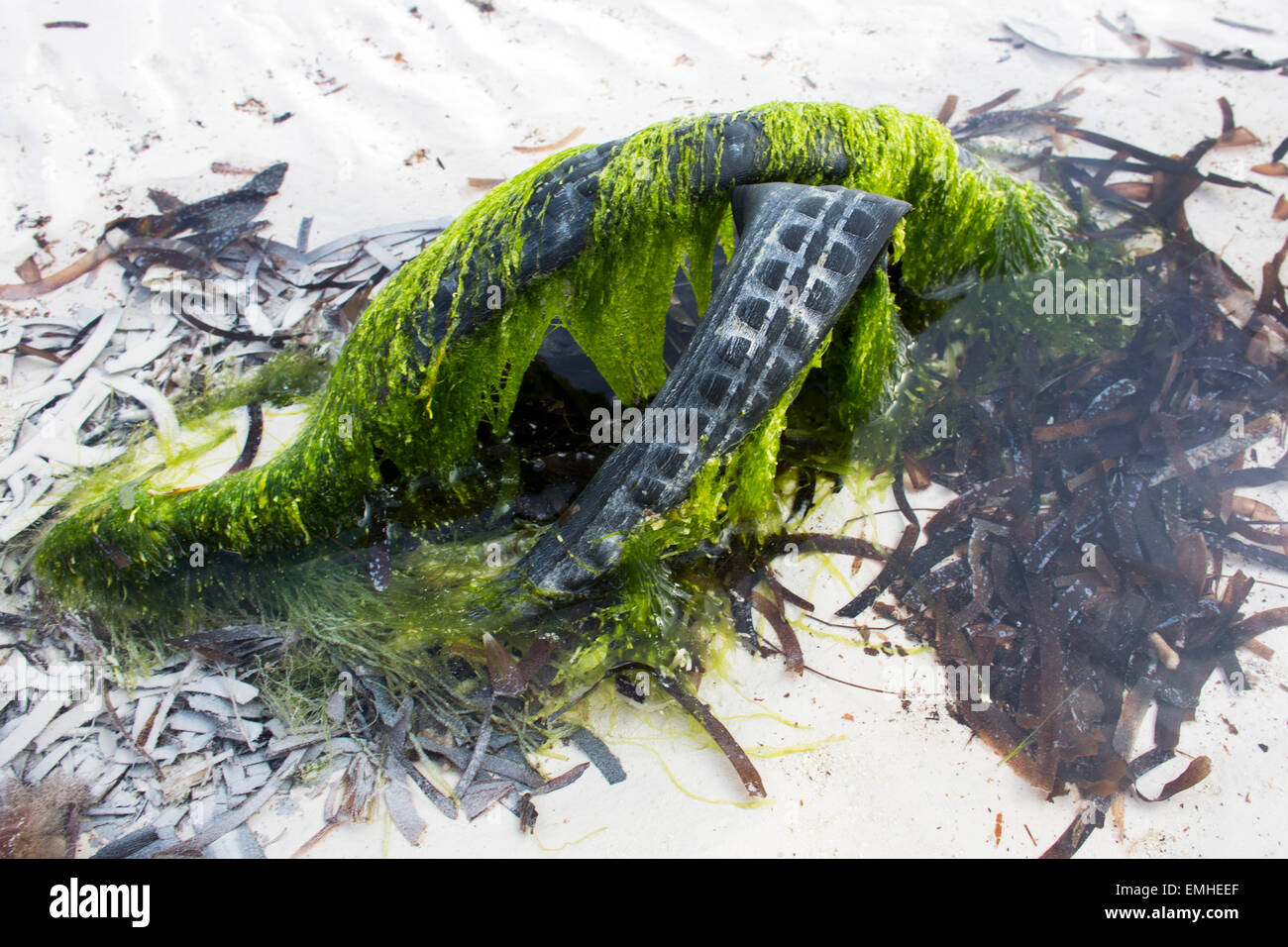 Plastic pollution beach zanzibar hi-res stock photography and images ...