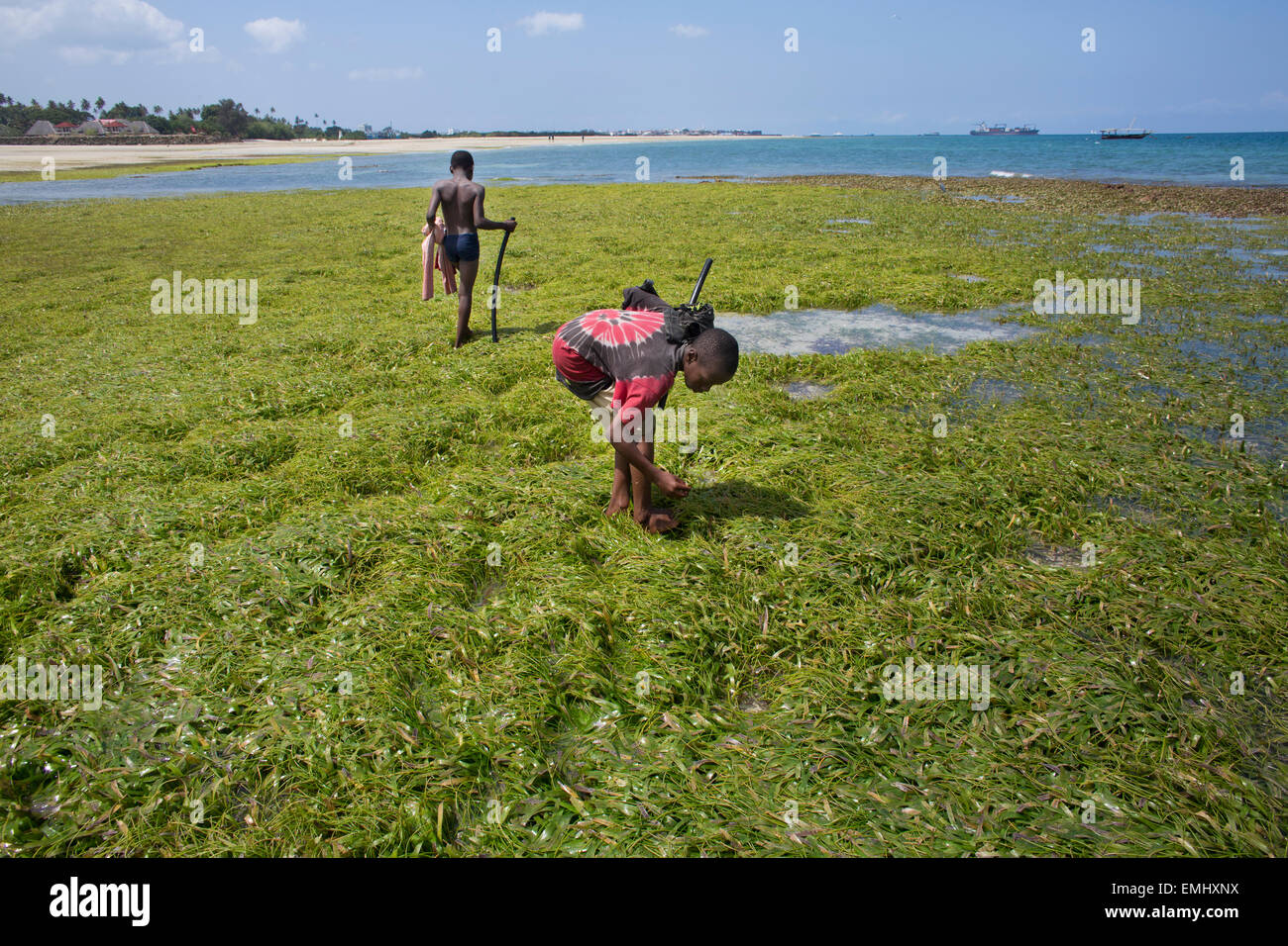 Searching water africa hi-res stock photography and images - Alamy