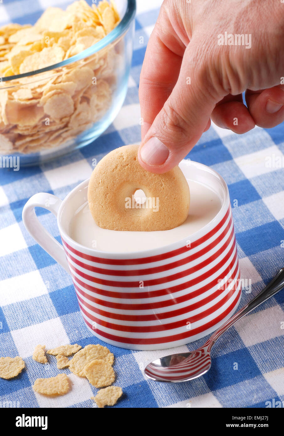 dip a biscuit in fresh milk Stock Photo - Alamy