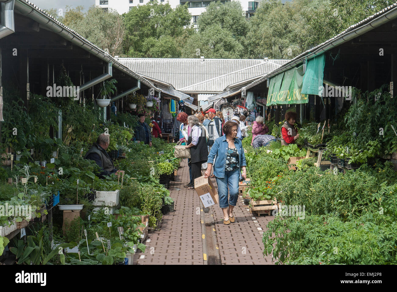 Woman walking into a market hi-res stock photography and images - Alamy