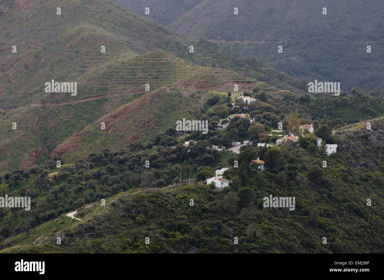 Mountain view of Sierra Negra, Barranco Blanco, with reforestation ...