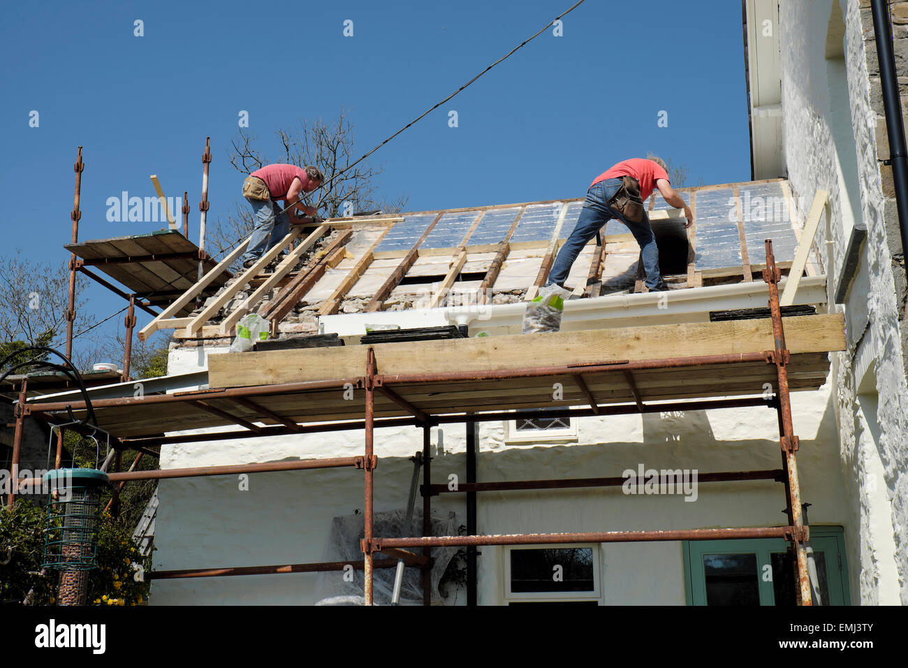 Builders put a new roof on a rural Welsh stone house in sunshine in ...