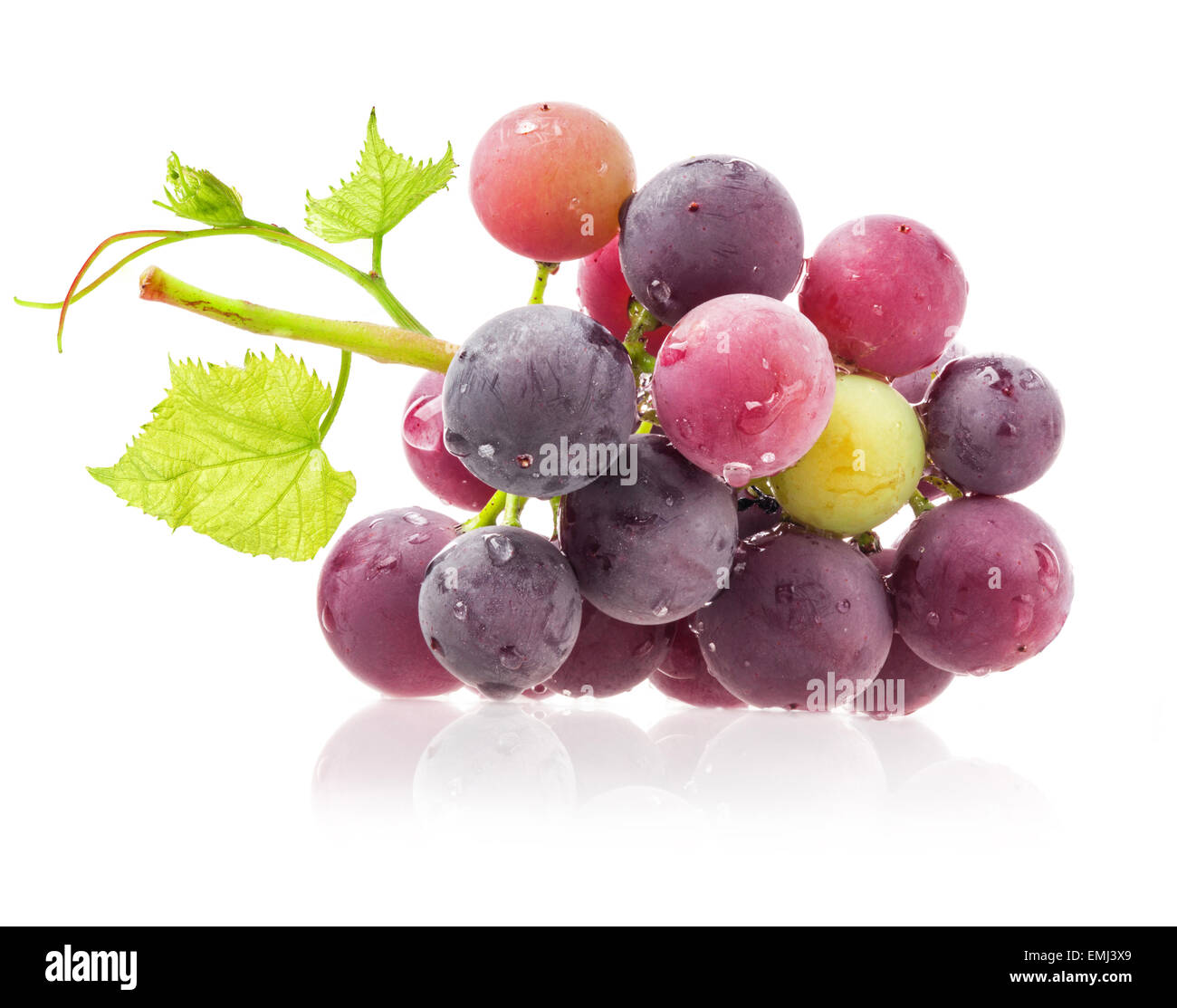 Dark grapes Isolated on white background Stock Photo - Alamy