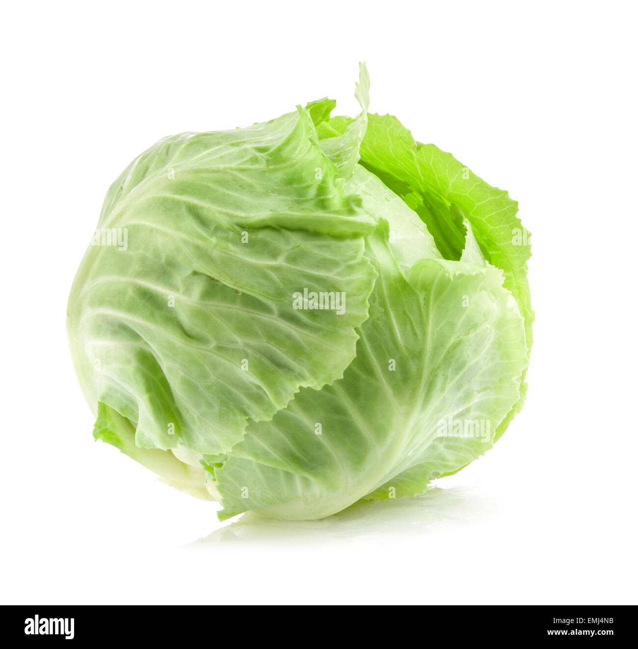 Green cabbage isolated on white background Stock Photo - Alamy