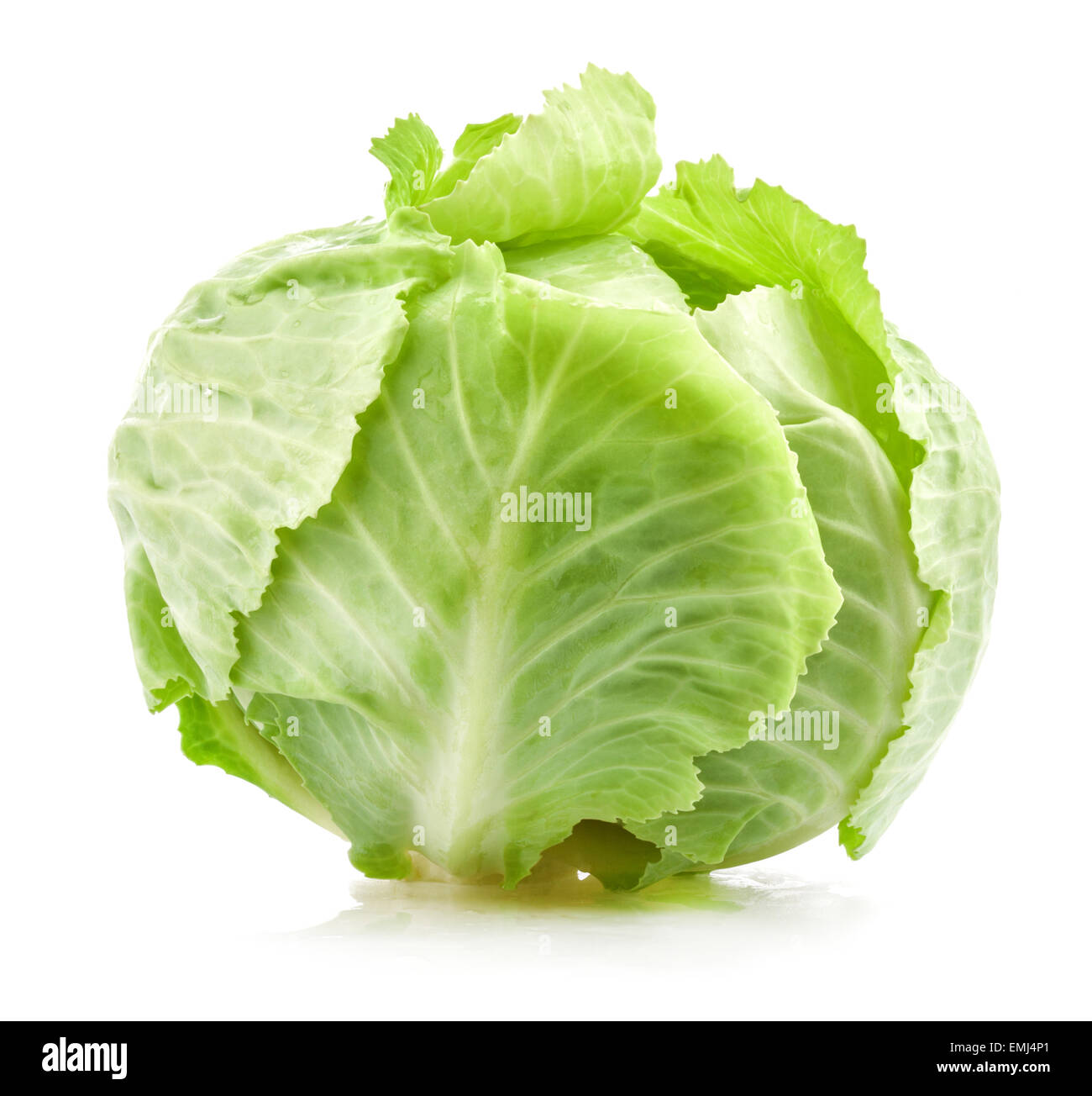 Green cabbage isolated on white background Stock Photo - Alamy