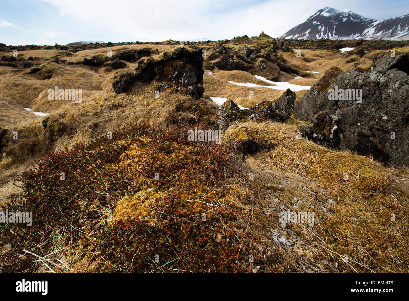 Impressive volcanic landscape on the Snaefellsnes peninsula in Iceland ...