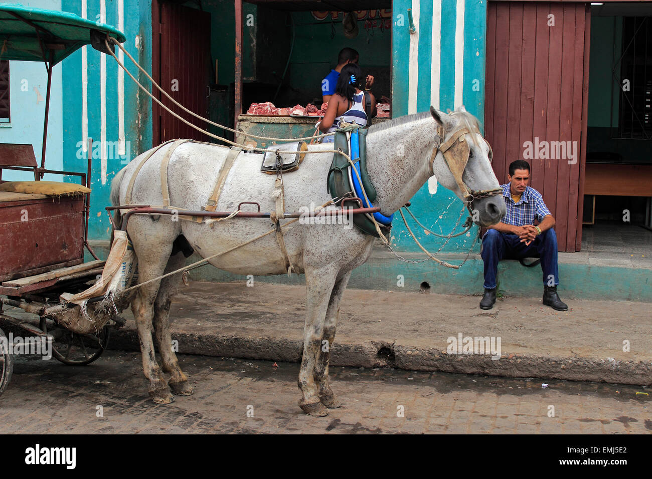 Horse and wagon outside a Cuban meat market showing products available ...