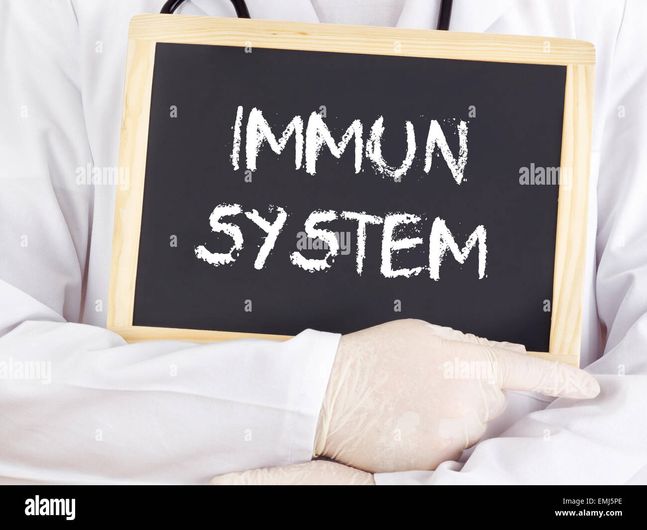 Doctor shows information: immune system in german Stock Photo - Alamy
