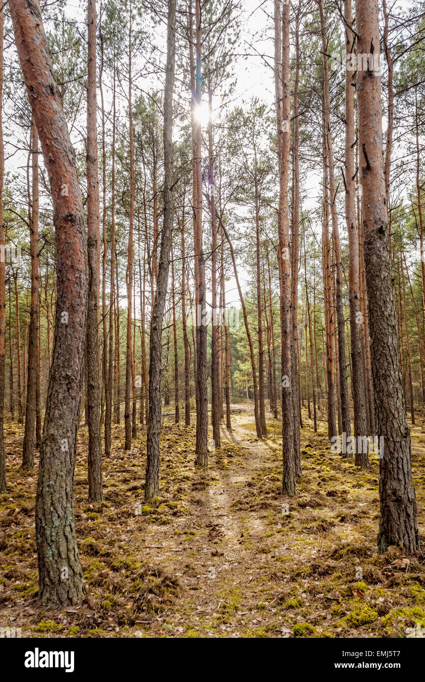 Beaming sun hi-res stock photography and images - Alamy