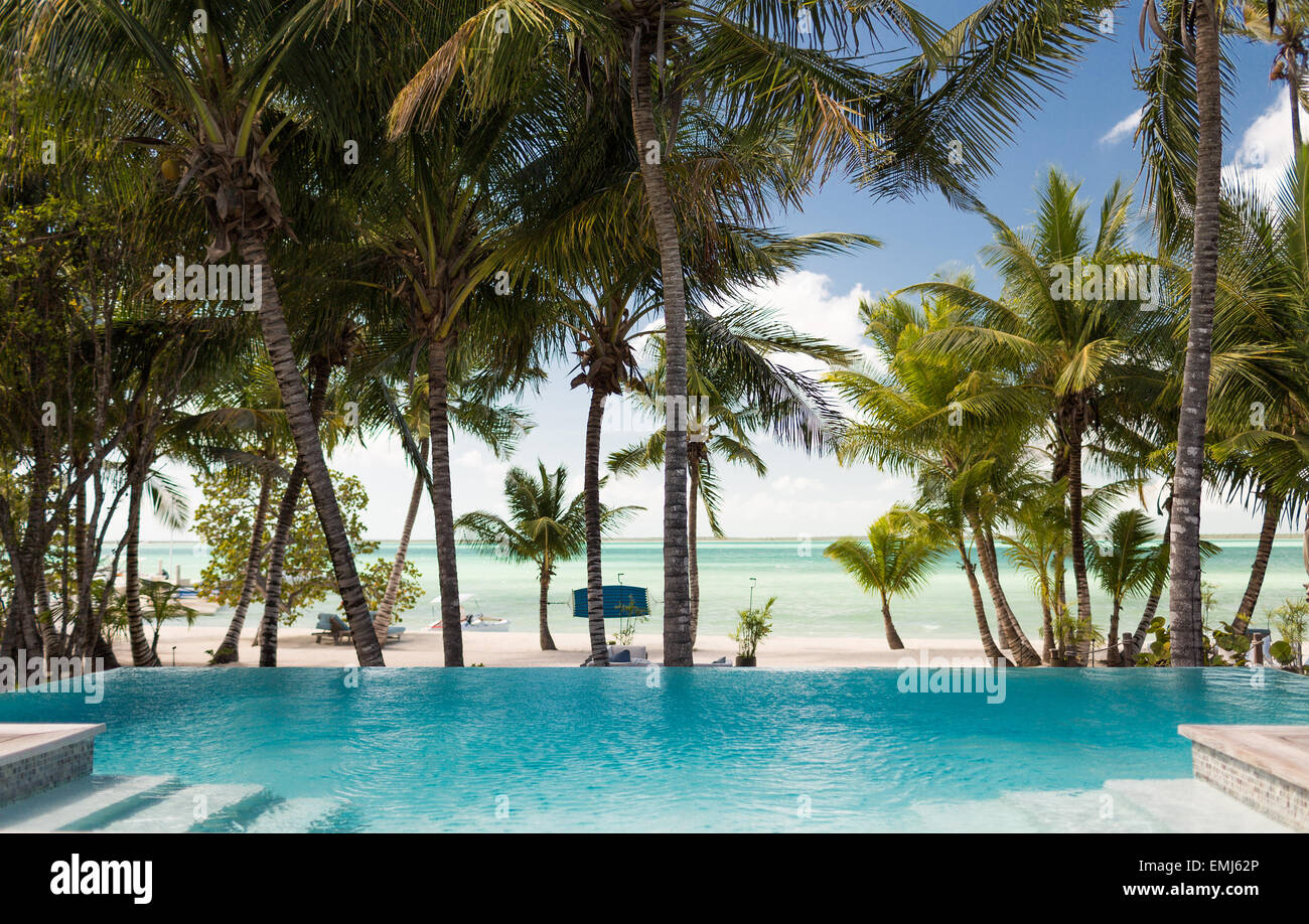 swimming pool on tropical beach Stock Photo - Alamy