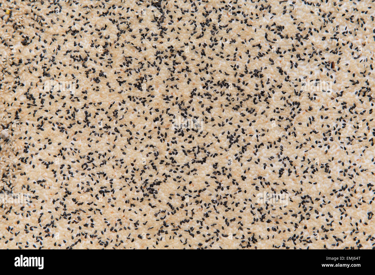 sesame seeds texture Stock Photo - Alamy