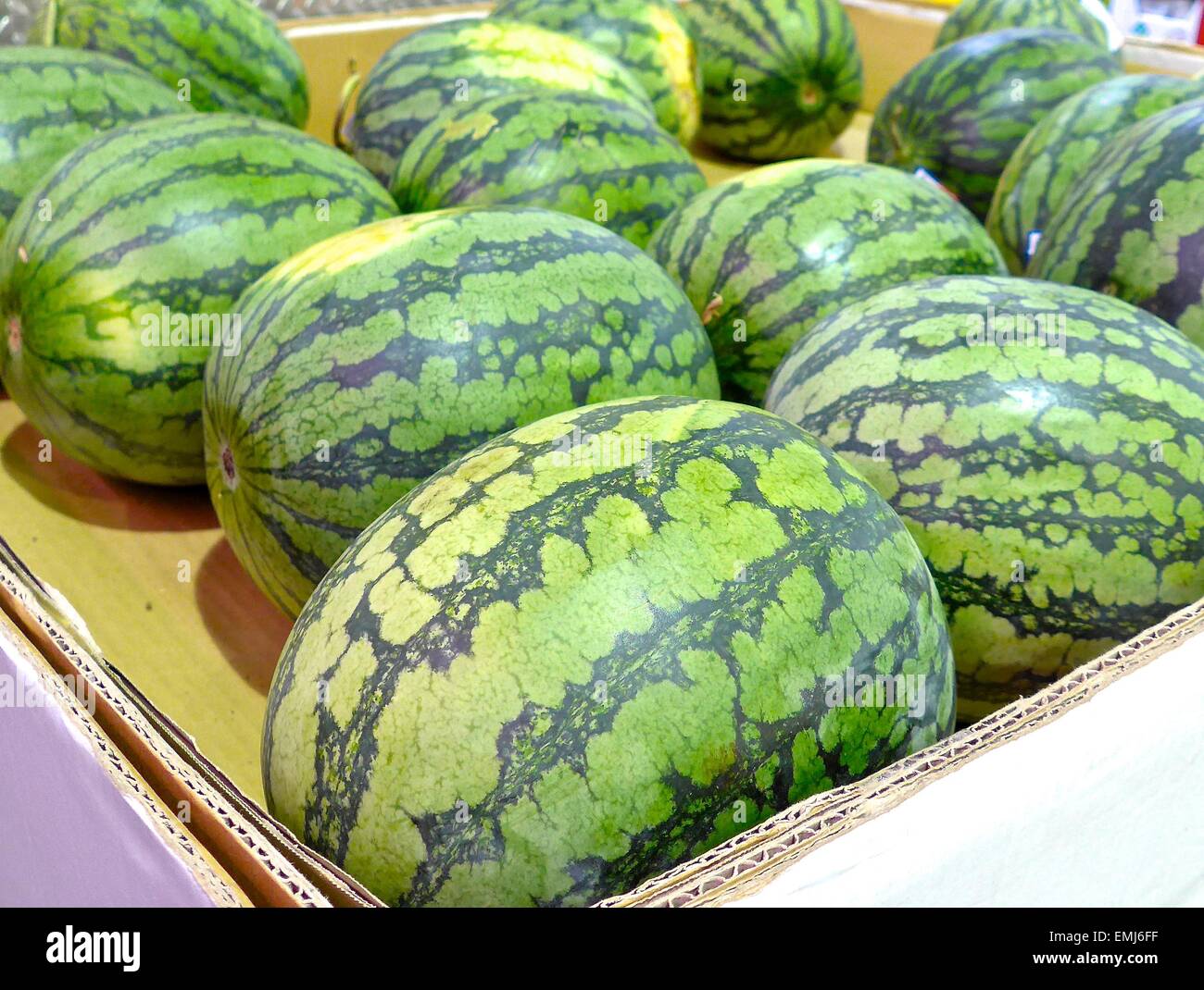 The closeup of green watermelons at market Stock Photo - Alamy