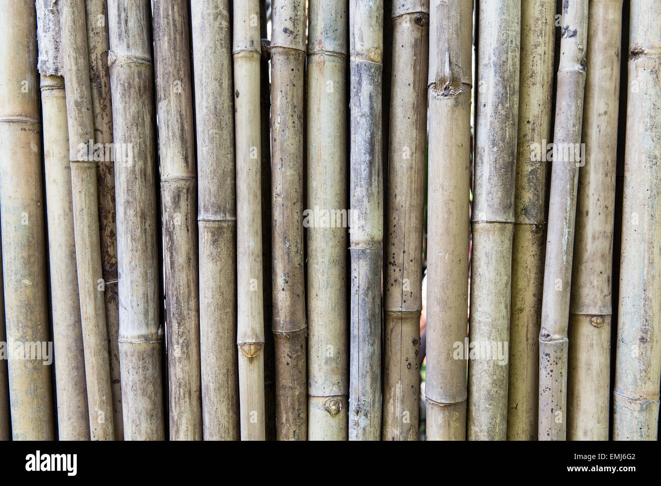 bamboo cane wall texture Stock Photo - Alamy