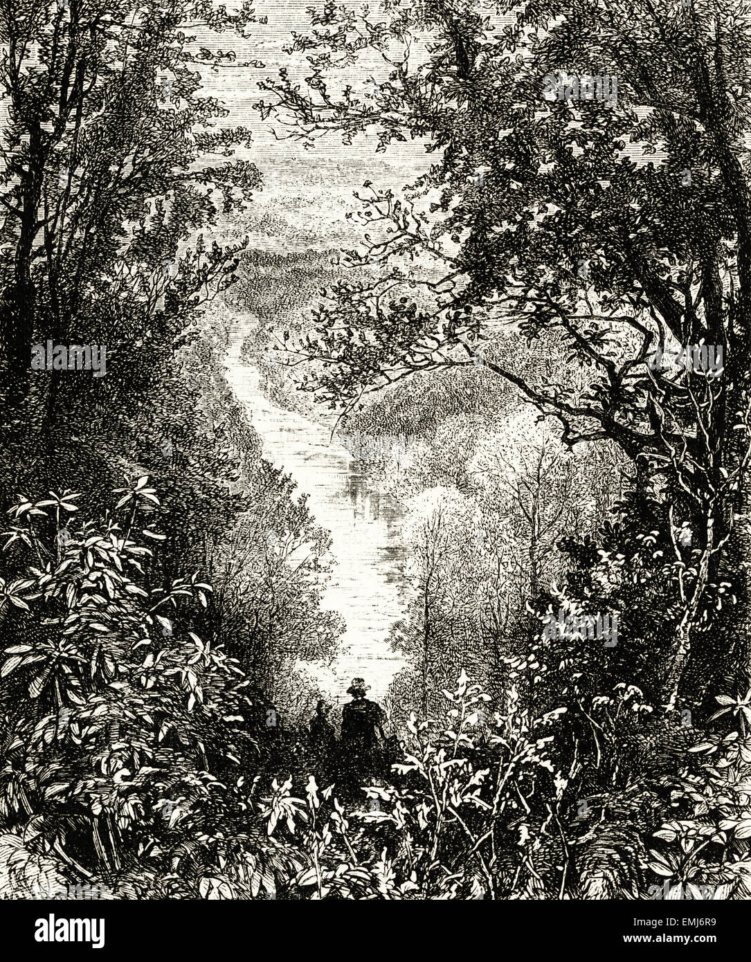 Scenic countryside view of river through woodland. Victorian woodcut ...