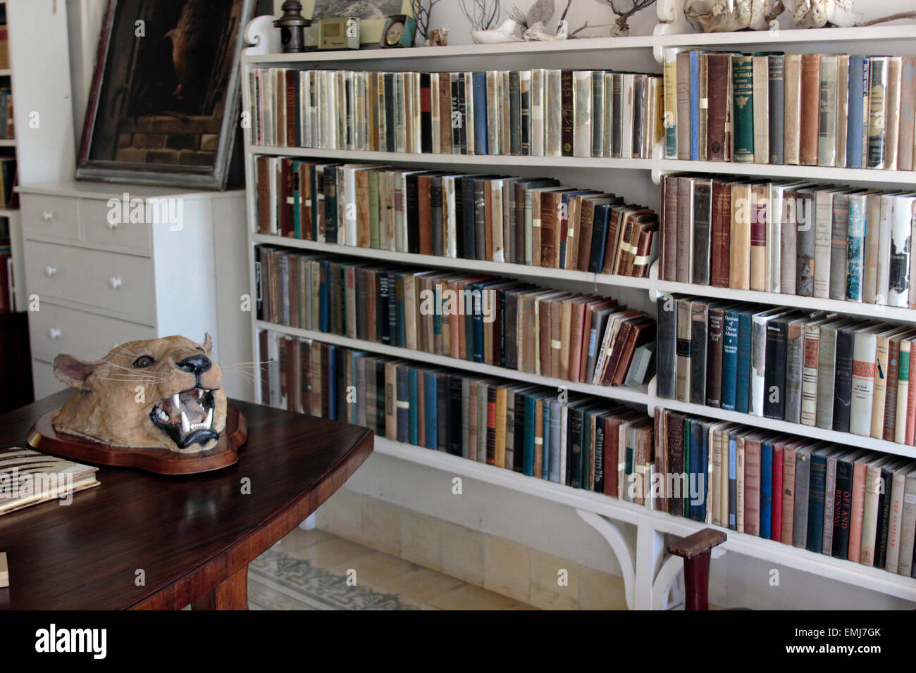 Library study with desk Ernest Hemingway house Finca La Vigia near ...